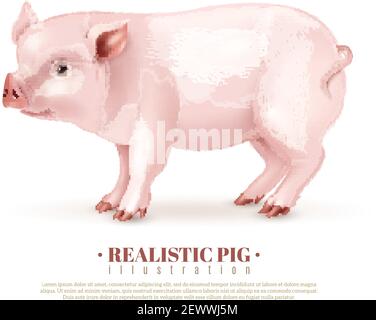 2019 New Year card. 2019 is decorated with stars. Design for postcard ...