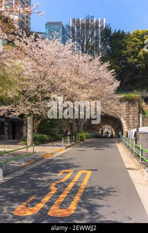 pavement markings Japan Stock Photo - Alamy