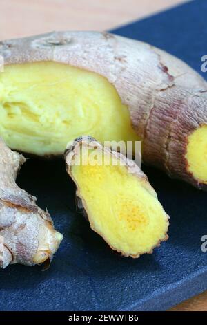 Knob of fresh ginger root Stock Photo - Alamy