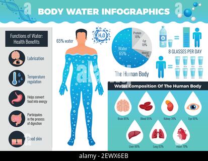 Body and water set with water functions symbols flat isolated vector ...