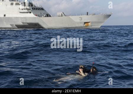 The US Navy (USN) Littoral Surface Craft-Experimental (LSC(X ...