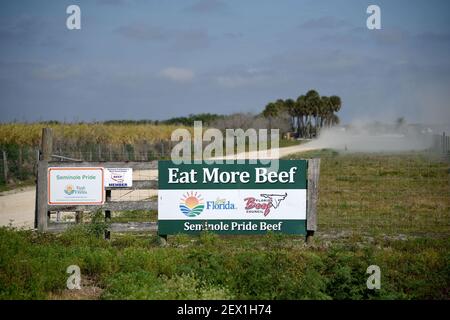 Okeechobee Florida,Seminole Tribe,Brighton Indian Reservation,Native ...