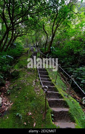 Pingxi station and Railway at Pingxi, northern of Taipei, is a popular ...