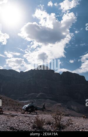 A vertical shot of cactus plants under sunlight Stock Photo - Alamy