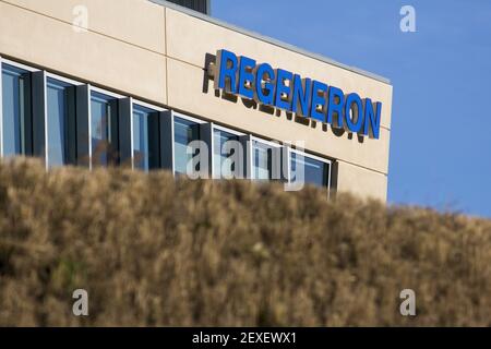 A logo sign outside of the headquarters of Regeneron Pharmaceuticals ...