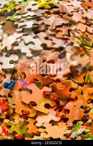 random Jigsaw pieces in a mess before being chosen to make up an image ...
