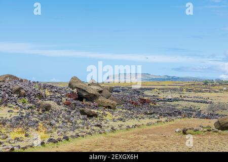 Fallen toppled moai (statues) on the ruined platform at Ahu Akahanga on ...