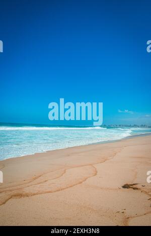 A vertical shot of the sandy beach captured on a sunny day Stock Photo ...