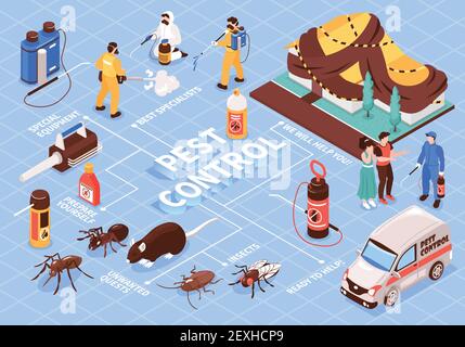 Pest control and home disinfection service, protection from insects ...