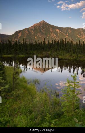 Alaska Territory Mountain Lake Marsh Vertical Banner Blue SKy Stock ...