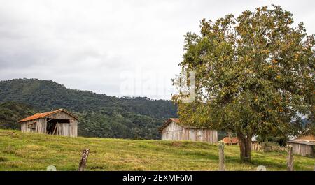 Rustic landscape wooden houses hill forest sky. Defocus beautiful ...