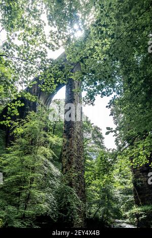 Healey Dell Viaduct in Healey Dell Nature Reserve in the Spodden Valley ...