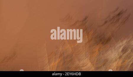 Abstract background motion blur flowers and foliage Stock Photo - Alamy