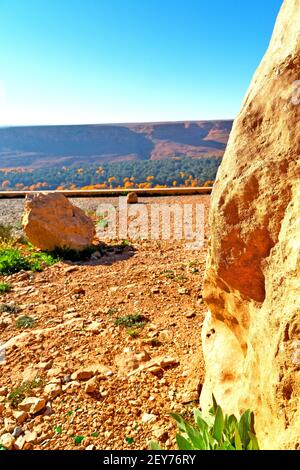 in ground africa morocco the plant tree snow mountain Stock Photo - Alamy