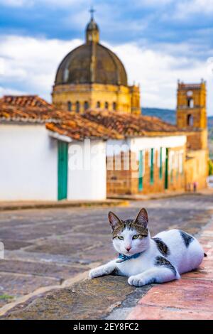 Sandstone Street in Barichara Stock Photo - Alamy