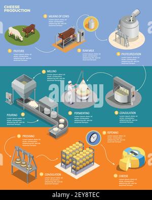 Cheese production isometric infographics layout with eleven phases of ...