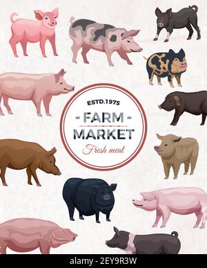 Meat shop poster with frame of fresh meat product and sausage sketch ...