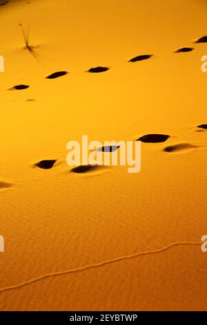 red footstep brown sand dune sahara Stock Photo - Alamy