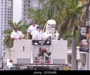 Bernie the Miami Heat Florida USA basketball mascot Stock Photo - Alamy