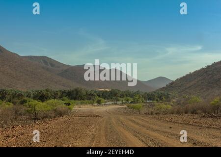 Beautiful view of river flowing between forest and green meadows ...