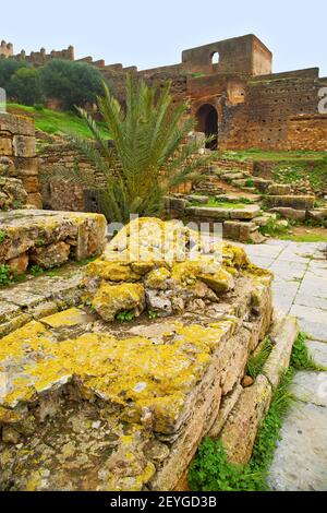 in morocco monument and site Stock Photo - Alamy