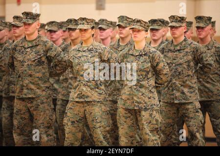 U.S. Marines from Delta Company, Infantry Training Battalion (ITB ...