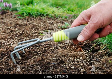 Man rakes the seeds of grass in fresh soil. Work in garden Stock Photo ...