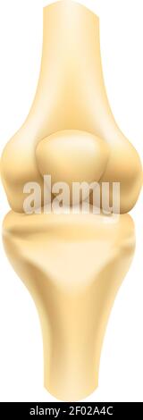 Healthy knee joint anatomy front and side view diagram realistic ...