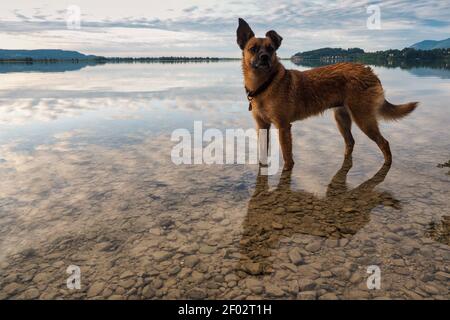 A nice picture from my companion Dschini with a breathing mask , a nice ...