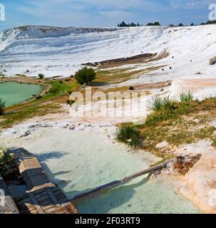 Tree unique old calcium bath Stock Photo - Alamy