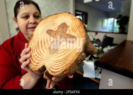Mercury Cross Section Stock Photo - Alamy