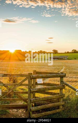 A sunrise on a the farm Stock Photo - Alamy