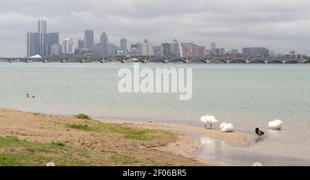 Long Panoramic Detroit Michigan River Downtown City Skyline Stock Photo ...