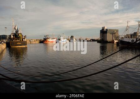 North Sea pelagic trawlers in Peterhead harbour in the evening sun ...