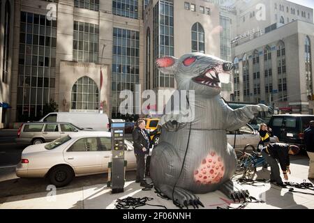 inflatable rat used by Labor Union rats often in a strike Stock Photo ...