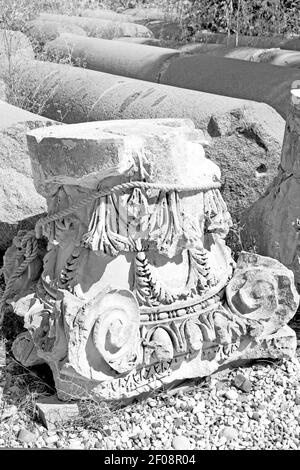 Bush gate in myra and roman temple Stock Photo - Alamy