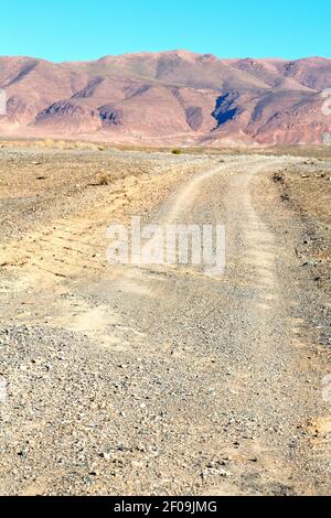 brown bush in valley morocco africa the Stock Photo - Alamy