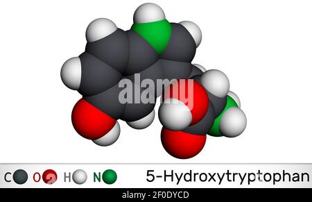 5-Hydroxytryptophan amino acid molecule. 3D rendering Stock Photo - Alamy