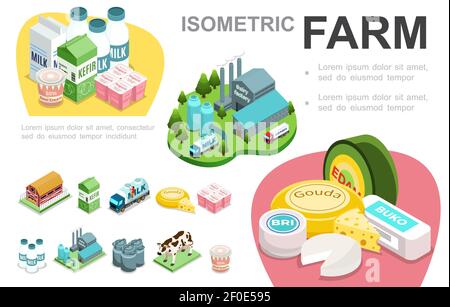 Cheese production isometric infographics layout with eleven phases of ...