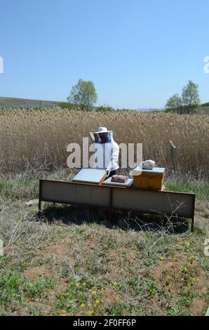 Ankara, Turkey - 2018: The beekeeper works with bees and beehives on ...
