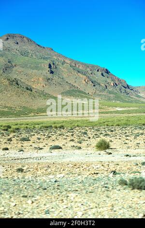 brown bush in valley morocco africa the Stock Photo - Alamy