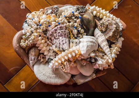 decorative sea shells and corals Stock Photo - Alamy