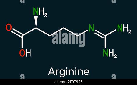 Arginine (L-arginine, Arg, R) amino acid molecule. Skeletal formula ...
