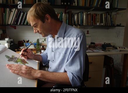 RICHARD LEWINGTON AT WORK IN HIS STUDIO, AN ELEPHANT HAWK MOTH WITH HIS ...