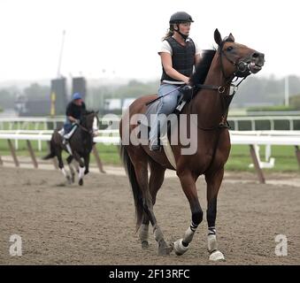 Kentucky Derby and Preakness winner Big Brown with exercise rider ...