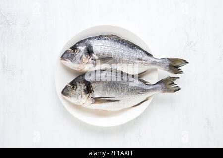 Raw dorado fish on light background Stock Photo - Alamy