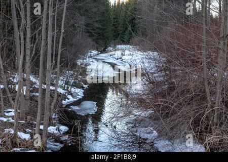 Latvian winter - spring landscape with woodland and ditch in sunset ...