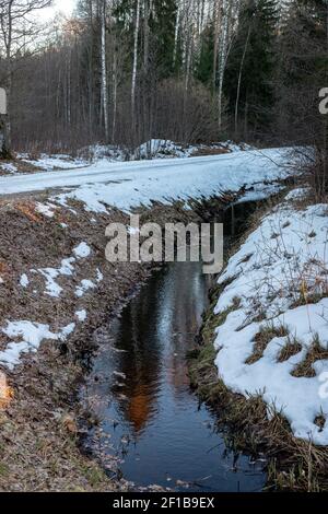 Latvian winter - spring landscape with woodland and ditch in sunset ...