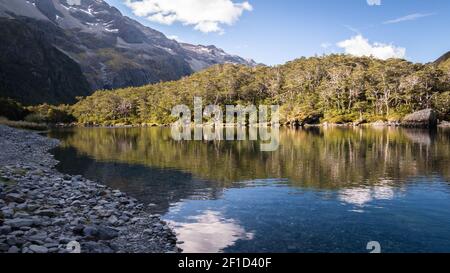 A beautiful view of a lake surrounded by trees at sunset Stock Photo ...