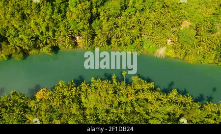 An aerial view of Loboc River, Bohol in the Philippines Stock Photo - Alamy